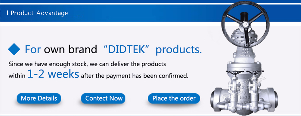 Didtek Industrial 6'' SS Cast Steel Flanged Swing Check Valve - Buy Stainless Steel Swing Check ...